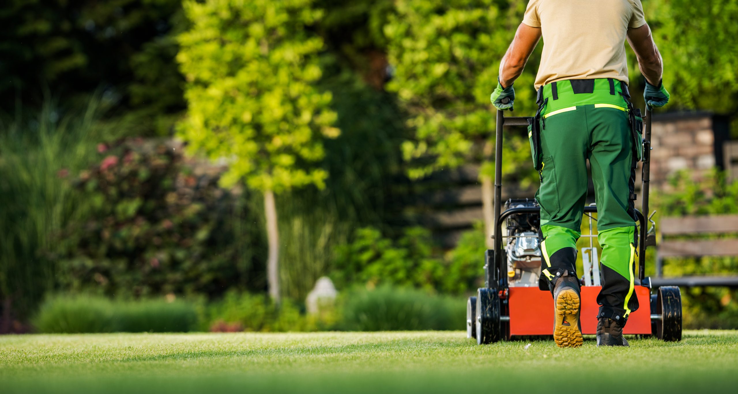 Our Services | Green Horizons | Green Horizons
